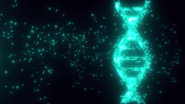 Human DNA animation, Motion Graphics | VideoHive