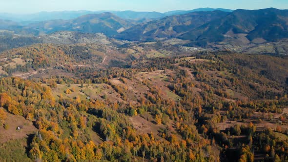Aerial View on the Pinewood Mountains Area, Stock Footage | VideoHive