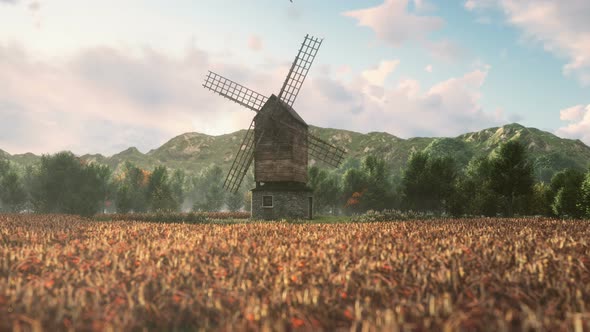 Windmill, Motion Graphics | VideoHive