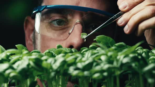 Biologist is Studying Plant Growth, Stock Footage | VideoHive