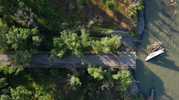 Collapsed Bridge In The Forest, Stock Footage | VideoHive
