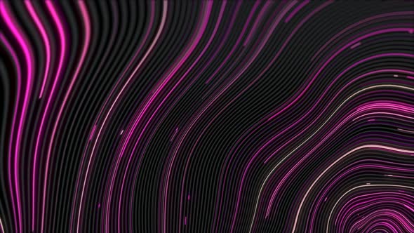 Line Purple, Motion Graphics | VideoHive