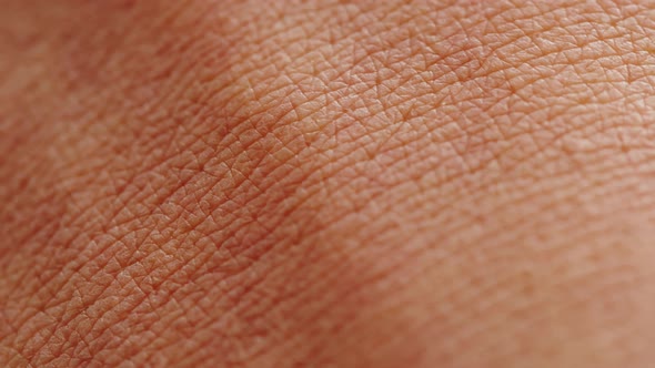 Black Skin Texture Closeup, Stock Footage | VideoHive