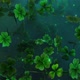 Clover Leaves Background, Motion Graphics | VideoHive