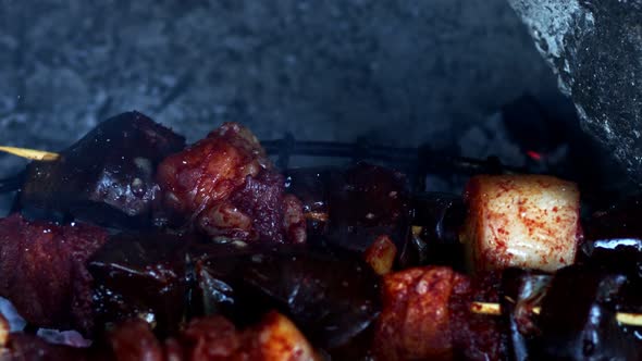 Liver Barbecue On Coal Fire 6, Stock Footage | VideoHive