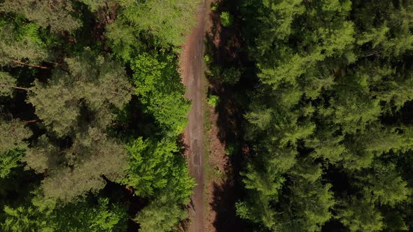 AERIAL: Slow Overhead Top Down Drone Shot of Dirt Path Way in Rich ...