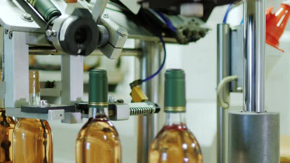 Conveyor Work in the Winery Automation of Wine Production and Bottling ...