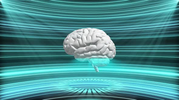 4K Sci Fi Hologram Human Brain Background Seamless Loop, Motion Graphics