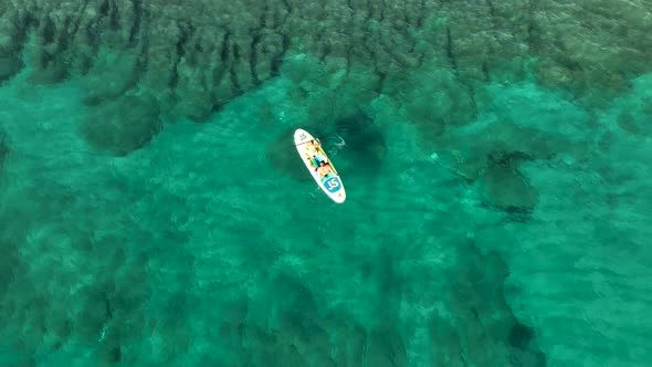 Sup surfing aerial view 4 K Turkey Alanya, Stock Footage | VideoHive