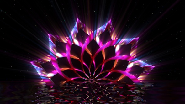 4k Flower Stage Background, Motion Graphics | VideoHive