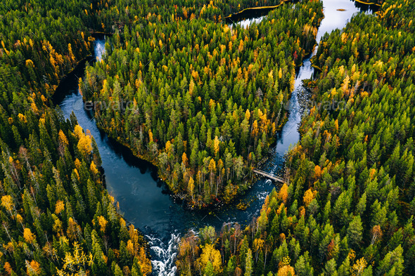 Aerial view of blue rivers and lakes in beautiful orange and red autumn ...