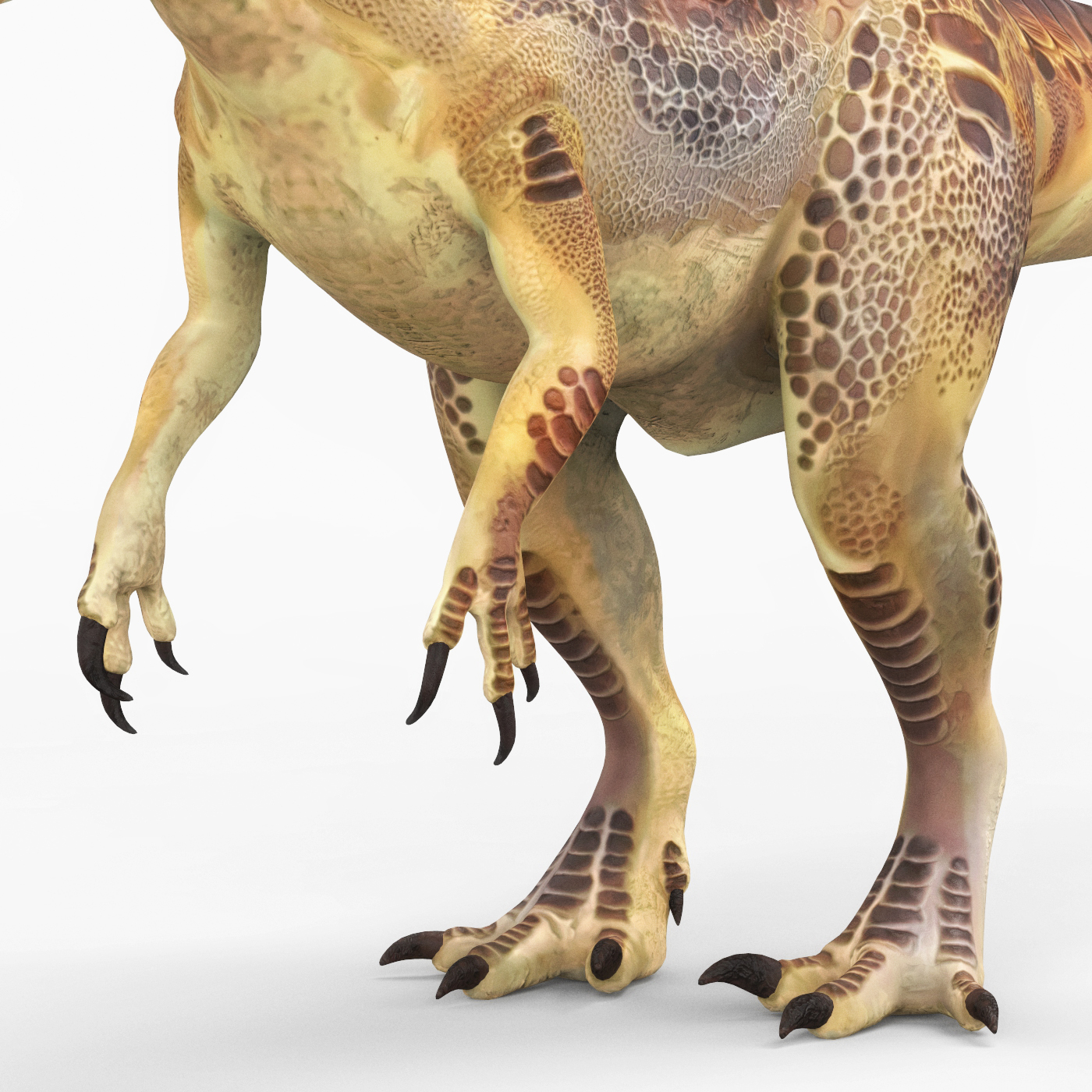 Tyrannosaurus Dinosaur by cgsea | 3DOcean