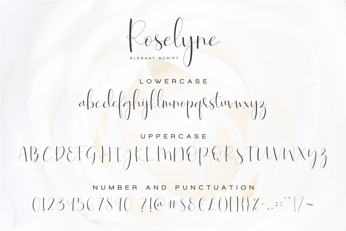 Roselyne - Caligraphy Script by dharmasstudio | GraphicRiver