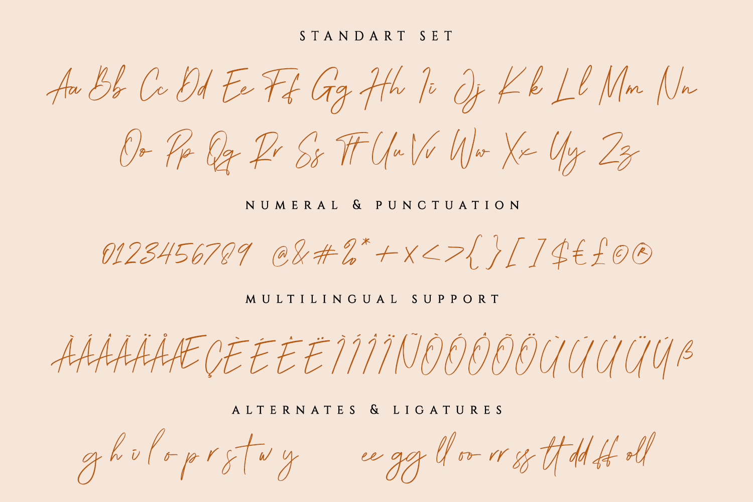 Brightness, Fonts | GraphicRiver