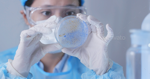 Scientist observation about petri dish Stock Photo by leungchopan ...