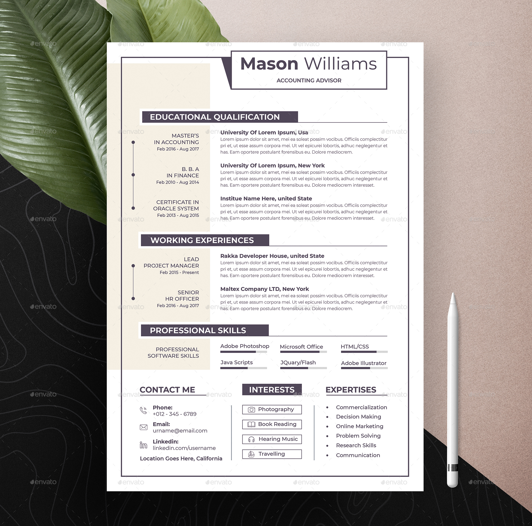 Professional Clean Resume Cv Template Word Apple Pages, Print Templates