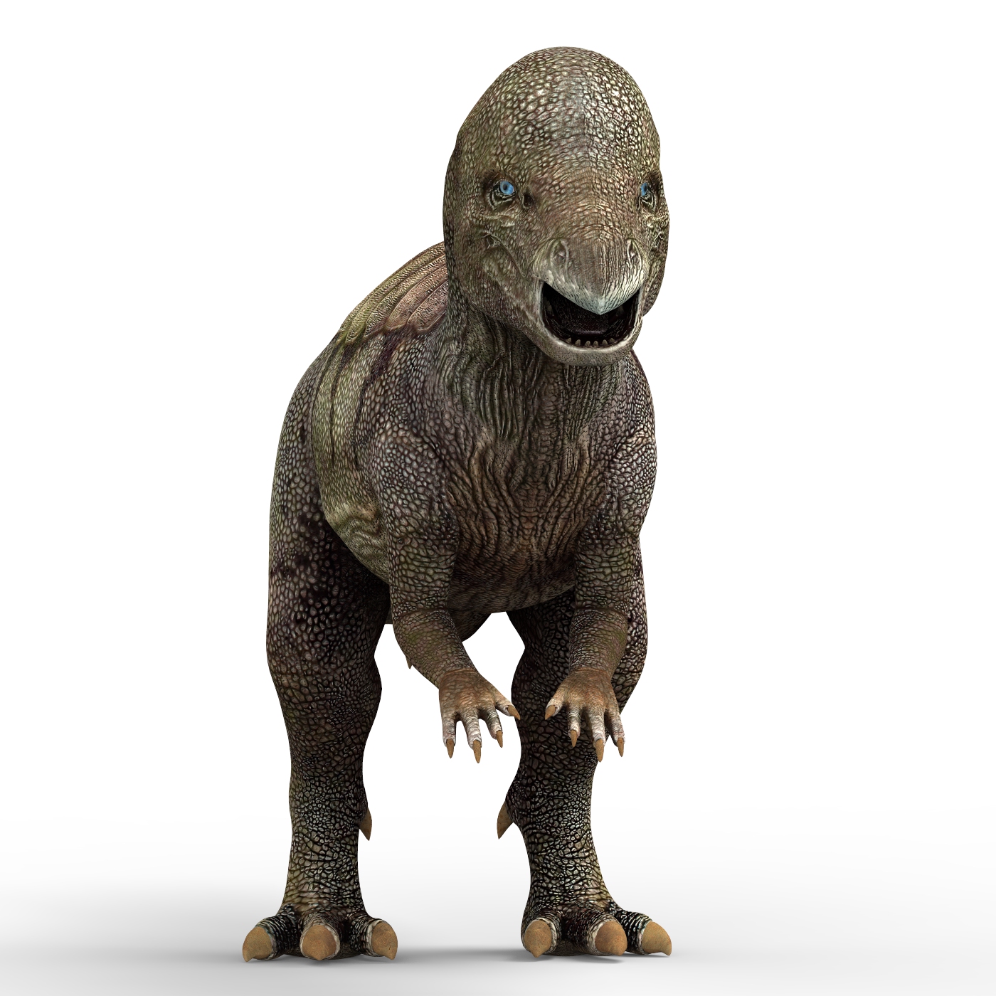 Pachycephalosaurus Dinosaur by cgsea | 3DOcean