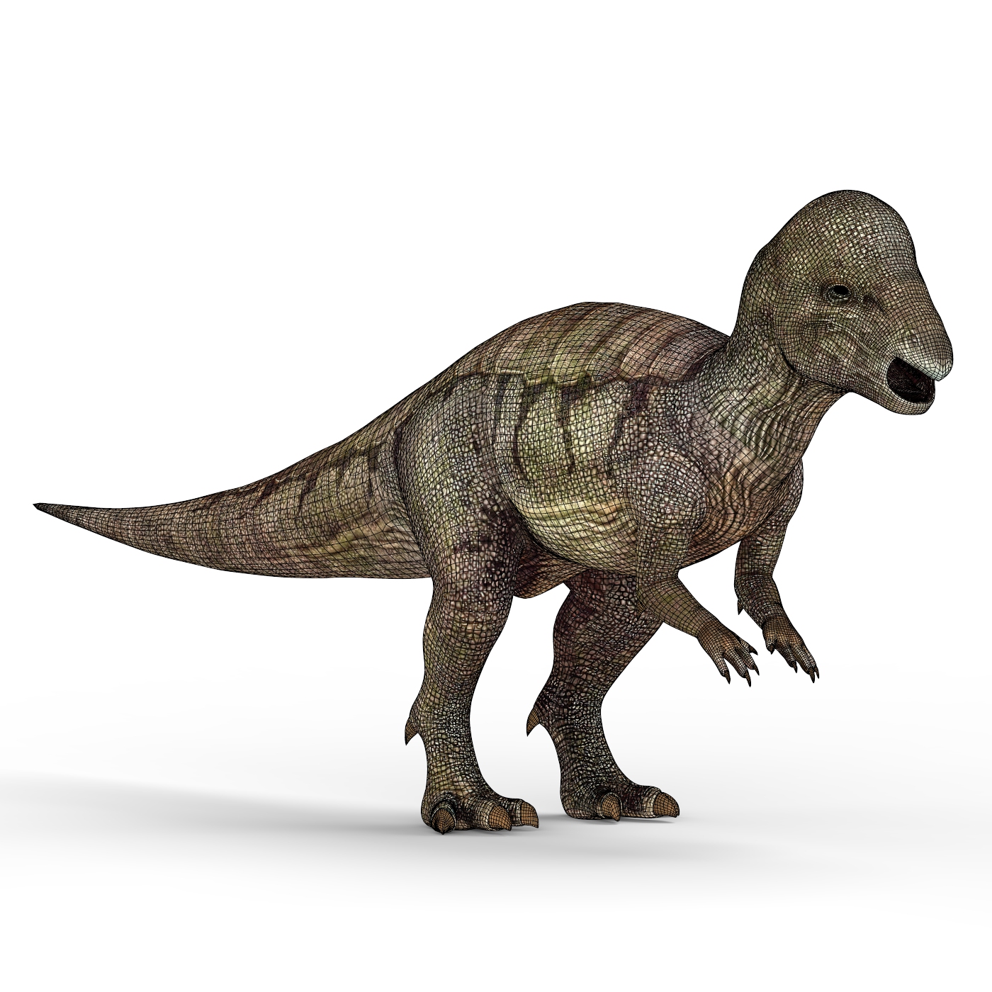 Pachycephalosaurus Dinosaur by cgsea | 3DOcean