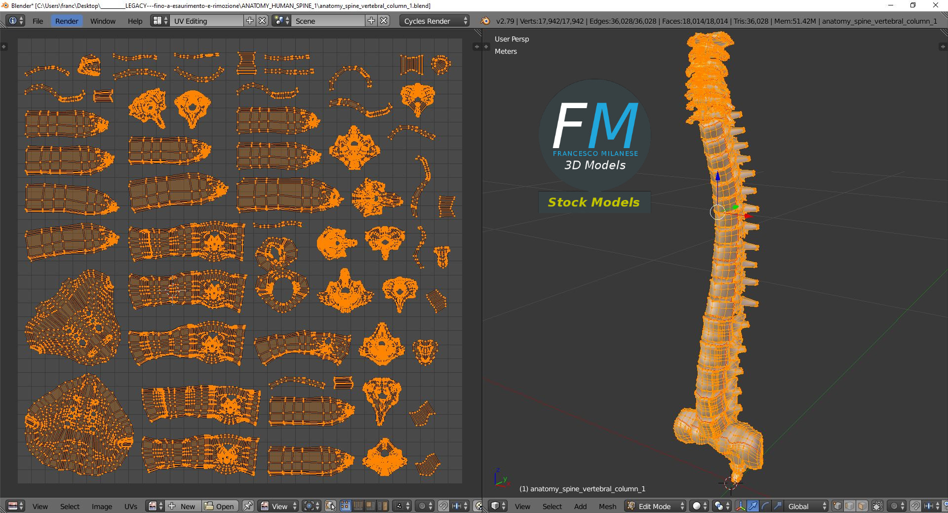 Anatomy - Spine vertebral column 1 by FrancescoMilanese85 | 3DOcean