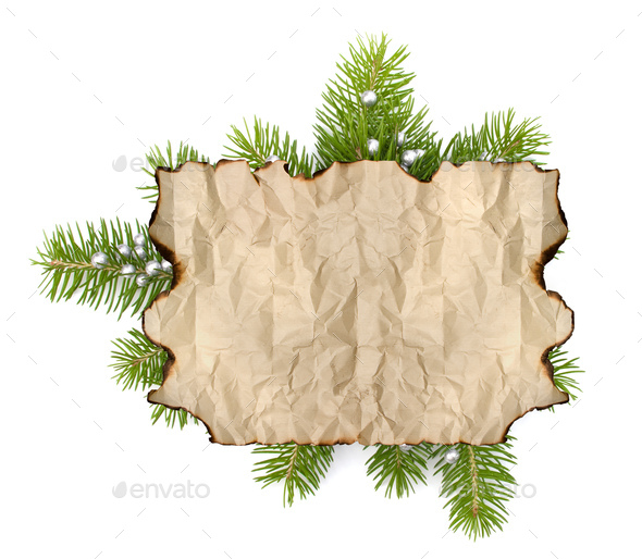 Old parchment paper with copy space on Christmas tree branch background ...