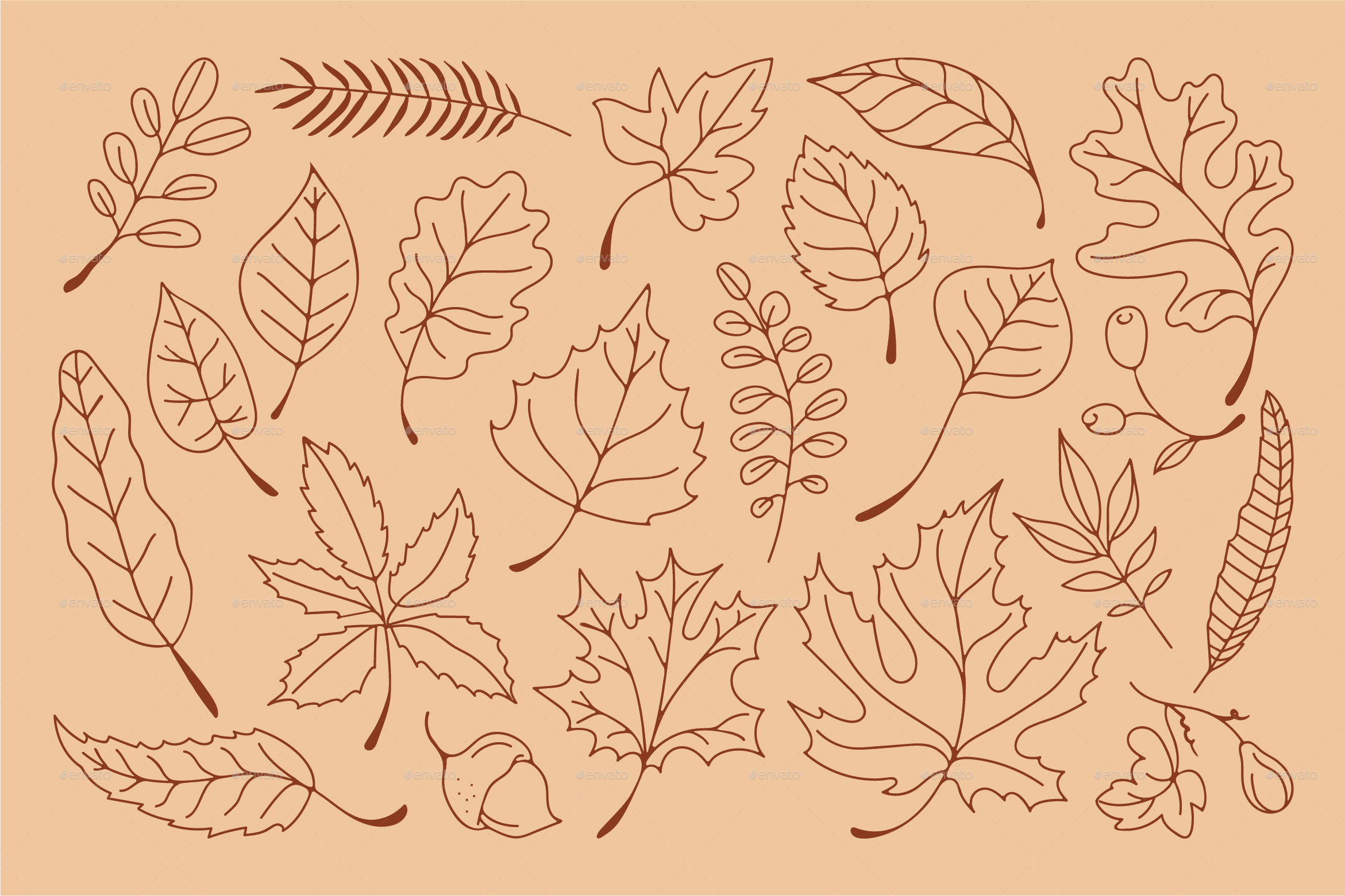 Autumn / Fall Hand-Drawn Leaves, Vectors | GraphicRiver