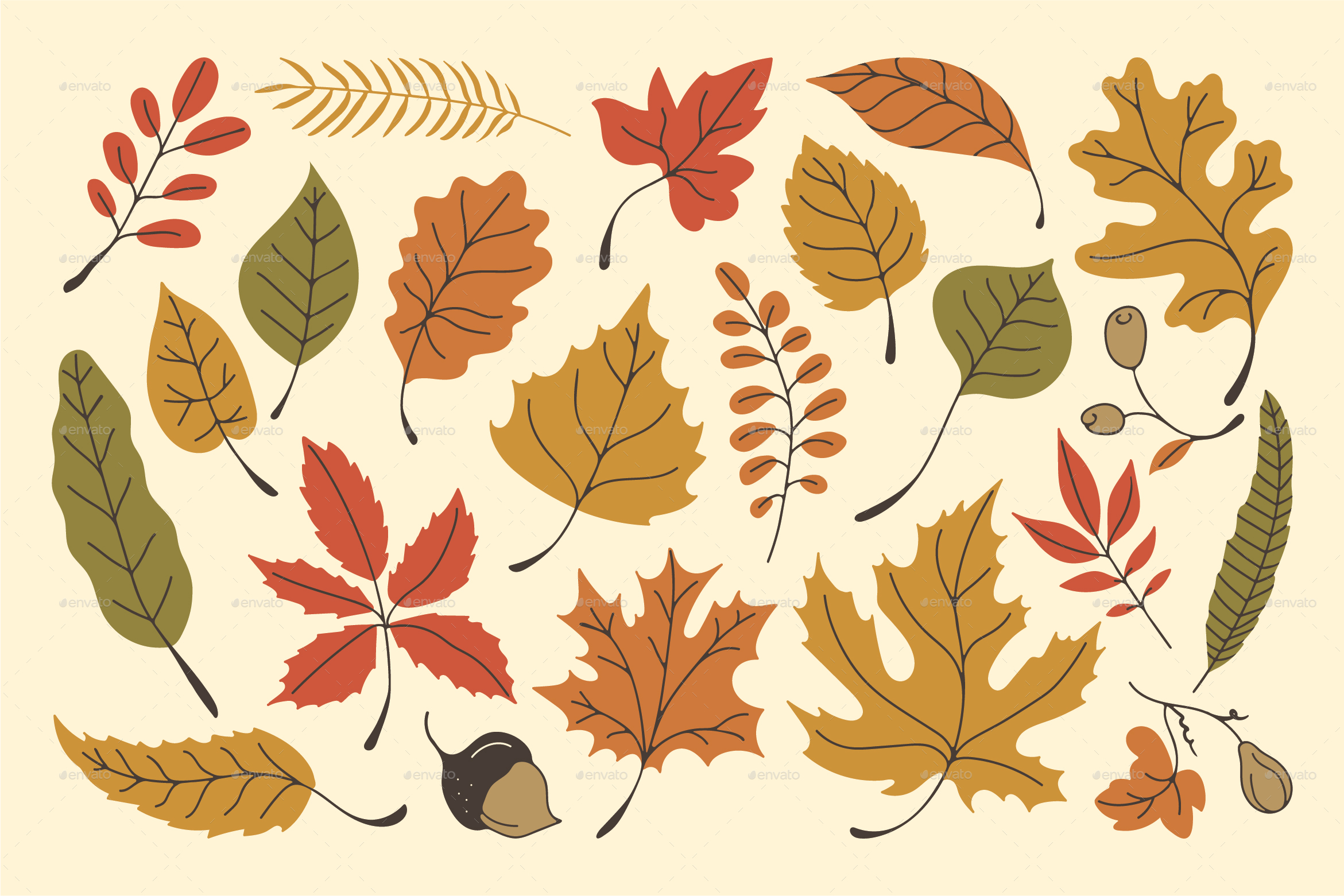 Autumn / Fall Hand-Drawn Leaves, Vectors | GraphicRiver