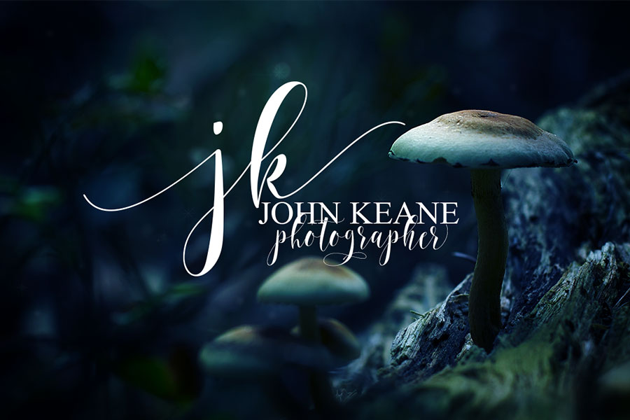 Still Shine Script, Fonts | GraphicRiver