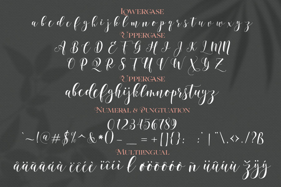 Still Shine Script, Fonts | GraphicRiver