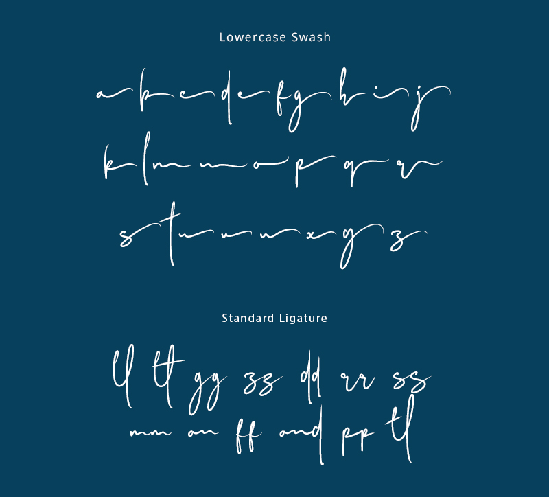 Sign - Brush Signature Font, Fonts | GraphicRiver