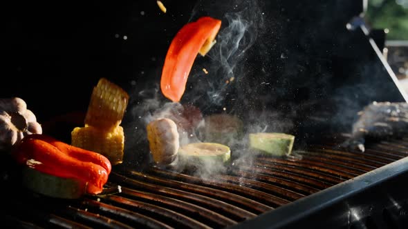 Mix of Different Fresh Cut Vegetables Falling Down on Barbecue Grill in ...