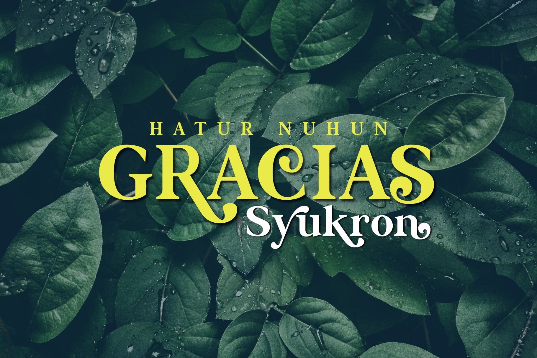 Magical Source - Stylish Serif Font by javapep | GraphicRiver