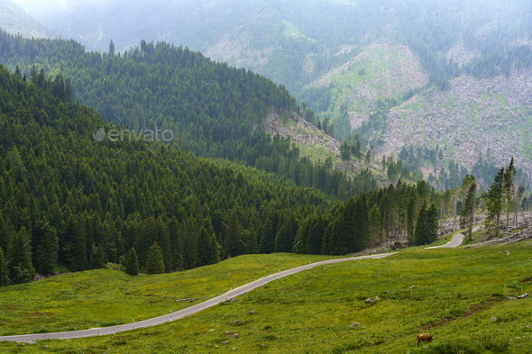 Landscape along the road to Manghen pass Stock Photo by clodio | PhotoDune