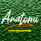 Anatomi, Fonts | GraphicRiver