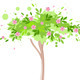 Green Spring Tree, Vectors | GraphicRiver