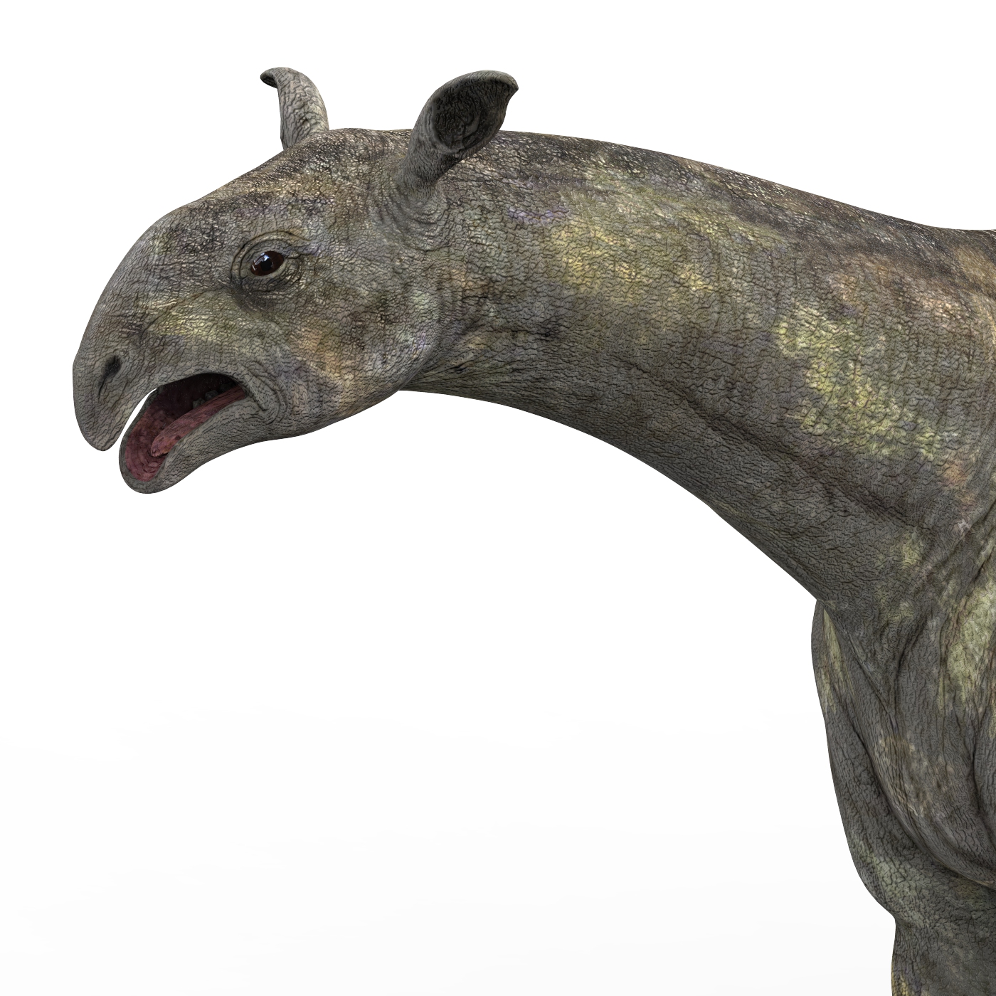 Paraceratherium Dinosaur by cgsea | 3DOcean