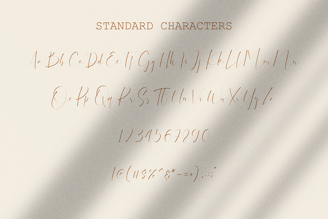 Dattebayo Signature Font, Fonts | GraphicRiver