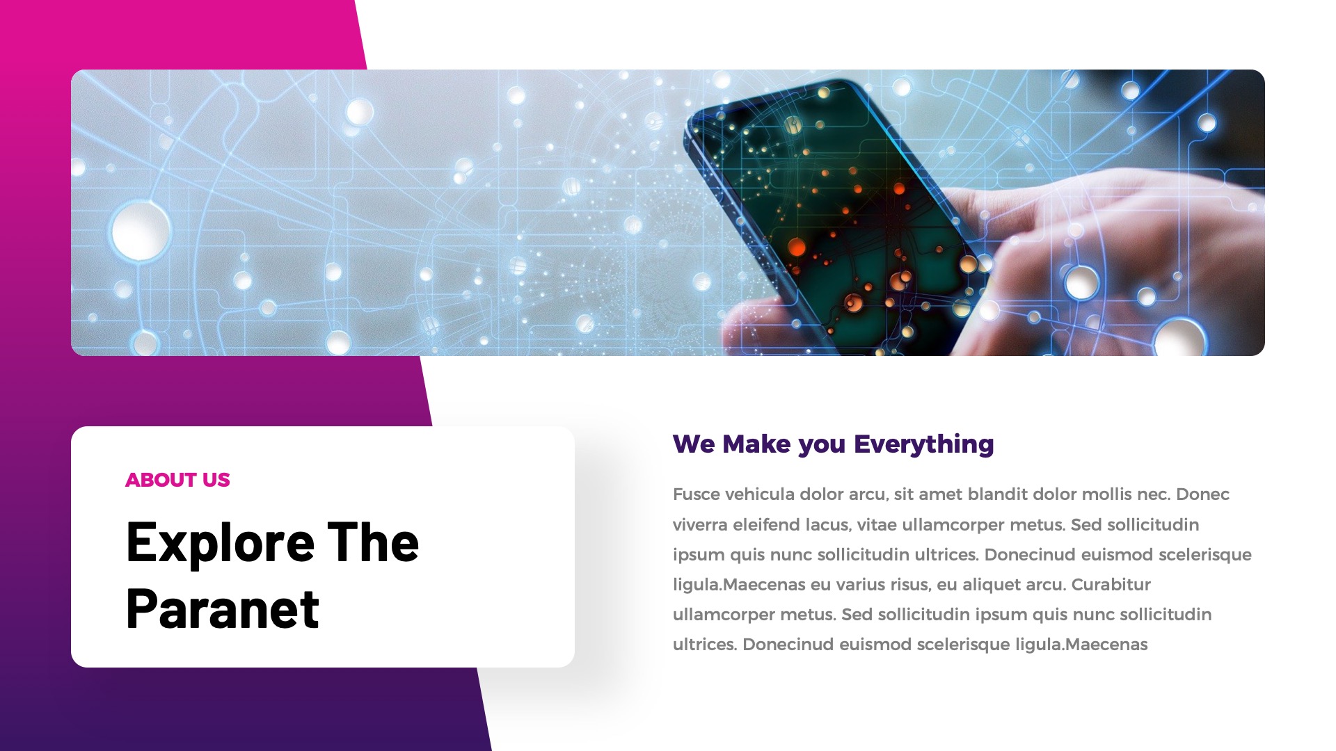 Paranet - Broadband & Telecom Powerpoint Template, Presentation Templates