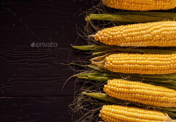 Border of fresh corn on the cob with copyspace Stock Photo by sergign