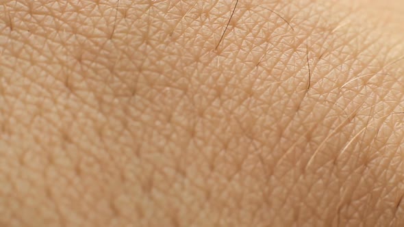 Human Skin 3, Stock Footage | VideoHive