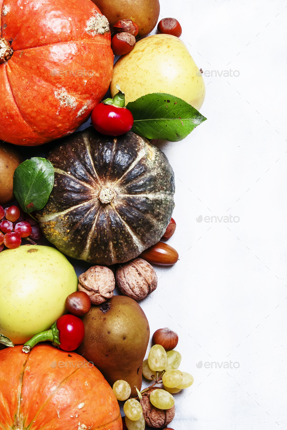 Autumn food background with pumpkins, vegetables, fruits and nuts Stock ...