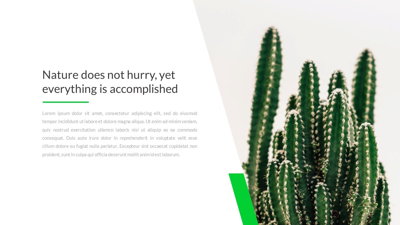 Trees - Nature PowerPoint Template, Presentation Templates | GraphicRiver