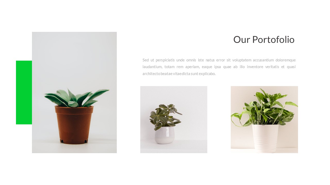 Trees - Nature PowerPoint Template, Presentation Templates | GraphicRiver