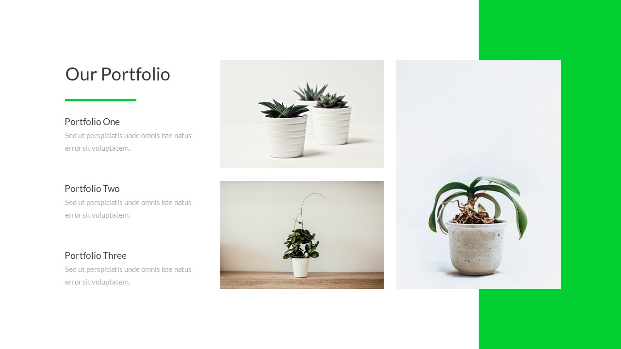 Trees - Nature PowerPoint Template, Presentation Templates | GraphicRiver