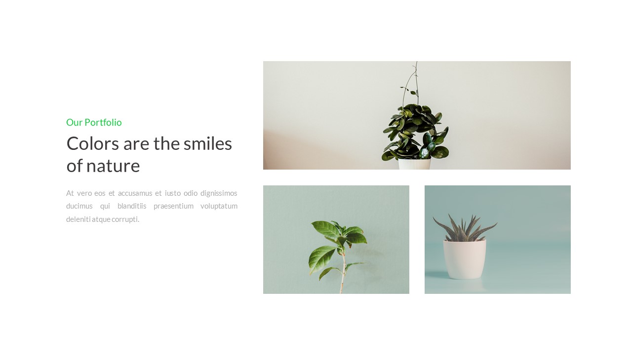 Trees - Nature PowerPoint Template, Presentation Templates | GraphicRiver