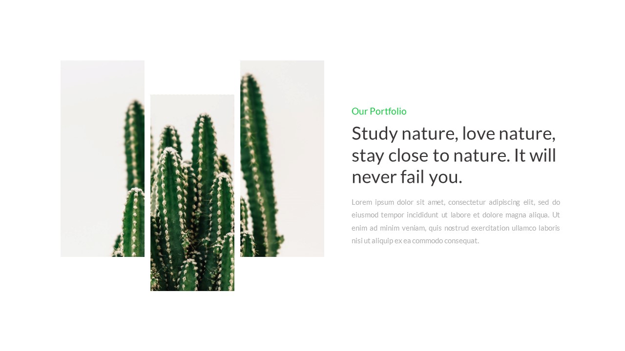 Trees - Nature PowerPoint Template, Presentation Templates | GraphicRiver