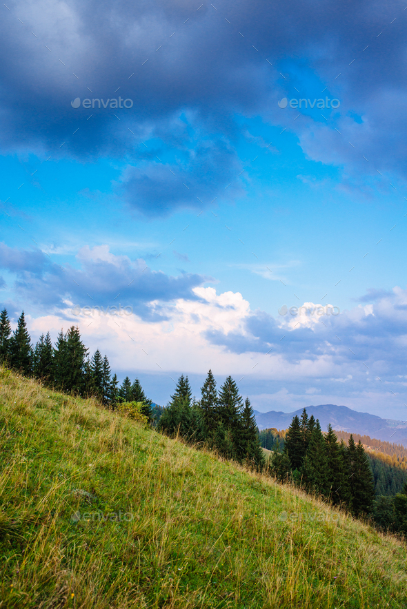 Colorful summer landscape Stock Photo by mstandret | PhotoDune