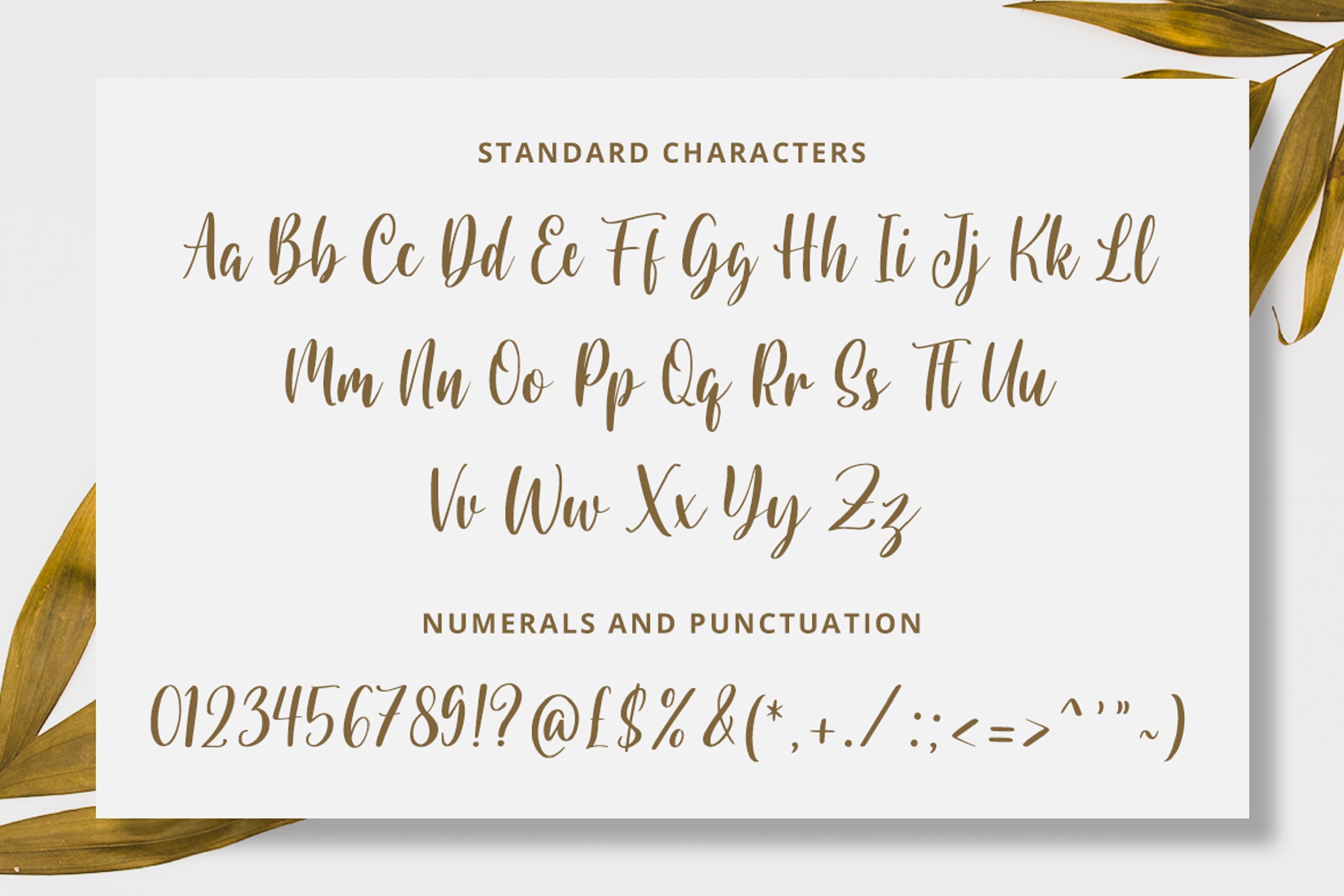 Calligraphy/Cursive Font, Fonts | GraphicRiver