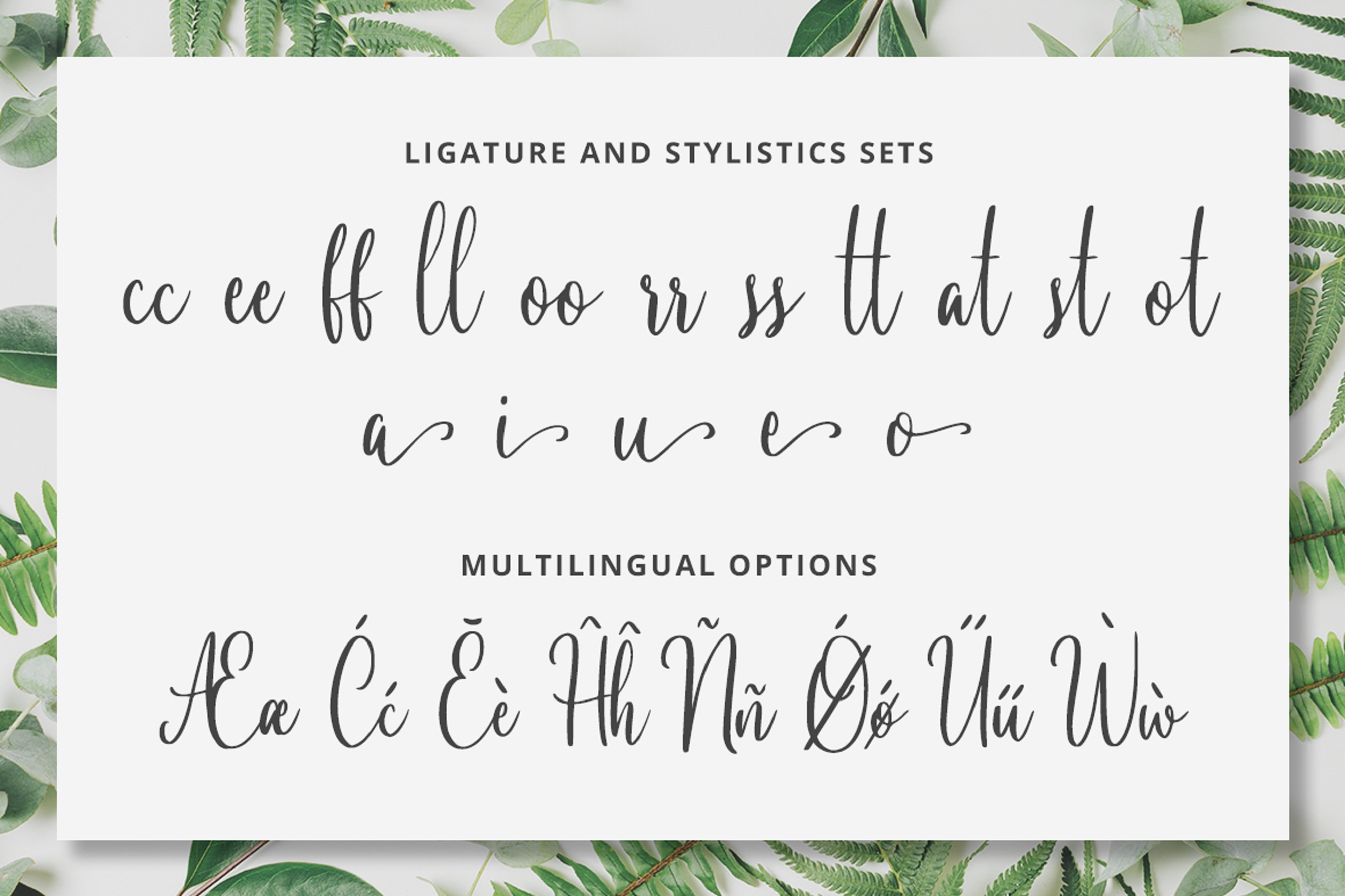 Elegant Cursive Font, Fonts | GraphicRiver