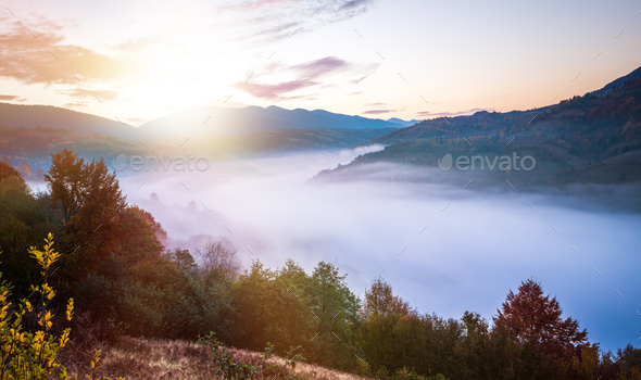 Morning sun illuminating rolling hills with light rays Stock Photo by ...