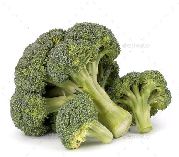 Broccoli vegetable Stock Photo by natika | PhotoDune